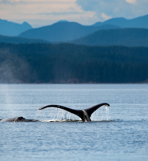 Harper Grey LLP | Leading Vancouver law firm
